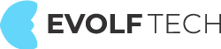 Evolftech | Bringing the digital future to life